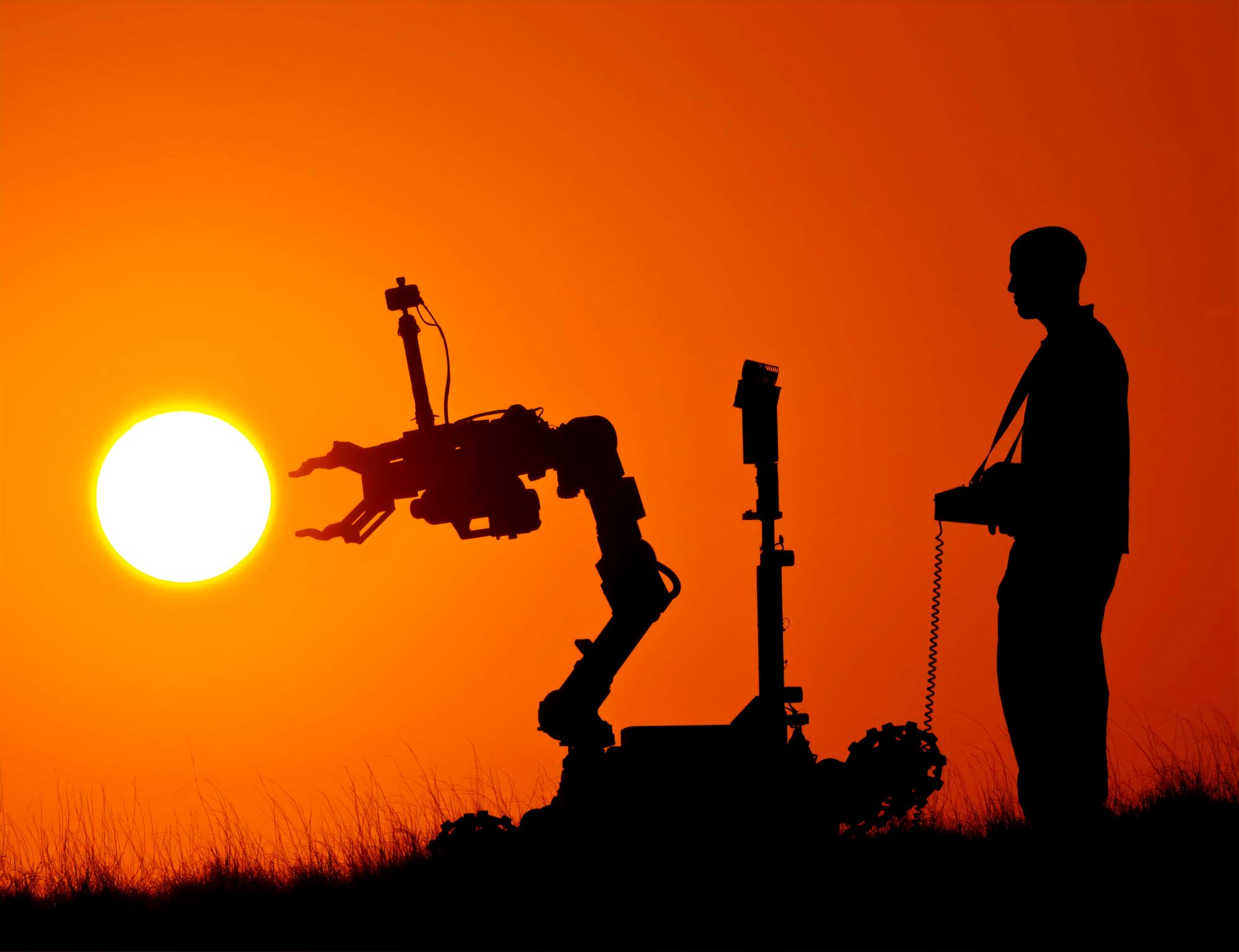 Robotics » World Business Outlook