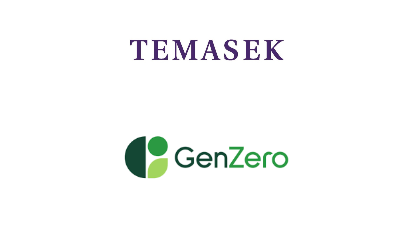 Temasek unveils new investment firm to boost global decarbonization drive » World Business Outlook