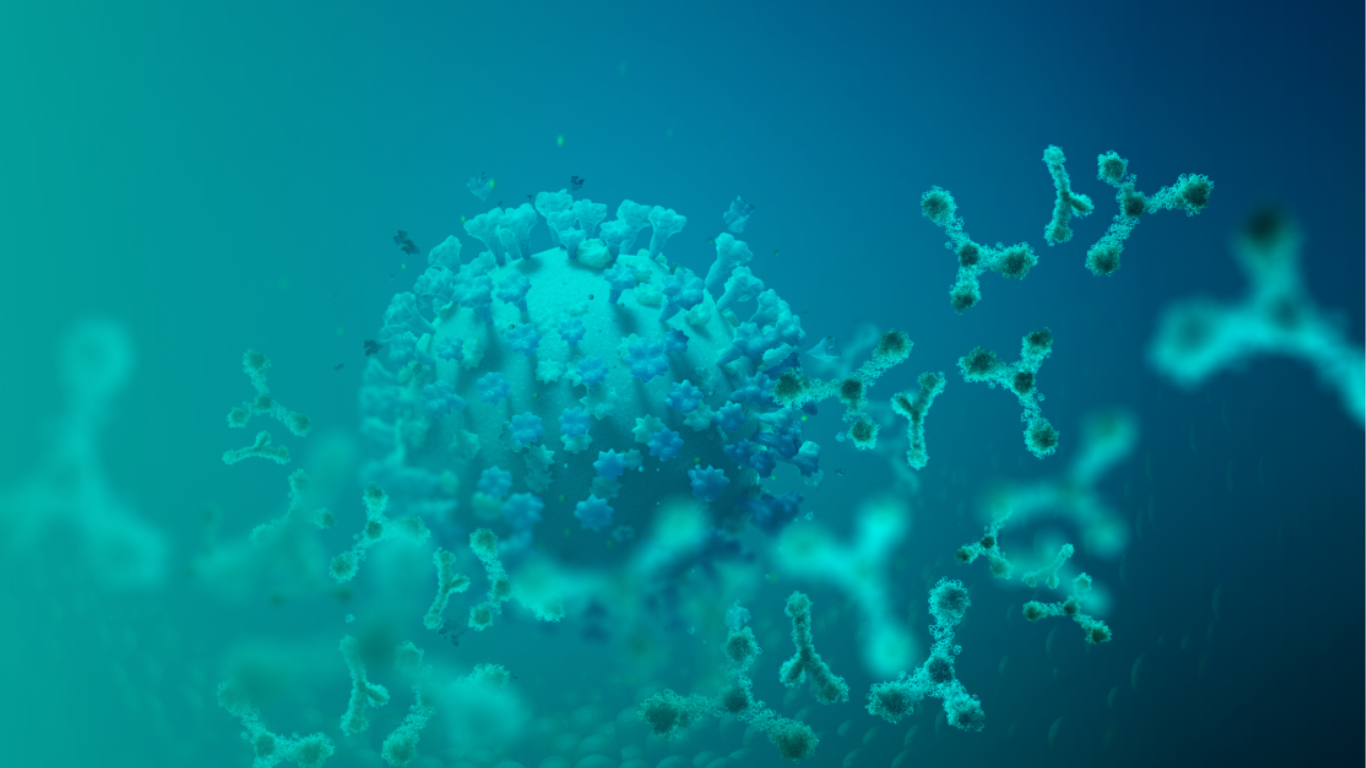 Biocytogen and LiberoThera reach landmark in development of Fully Human ...