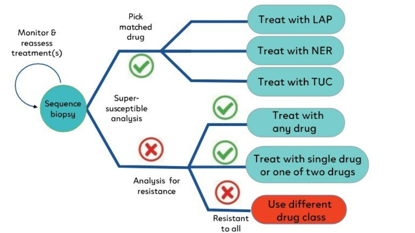 Heligenics announces precision genetics test for breast cancer ...