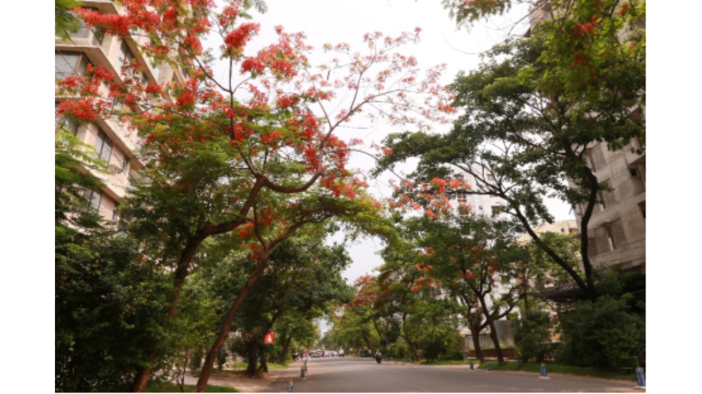 Bashundhara Housing: Pioneering a sustainable urban paradigm in South ...